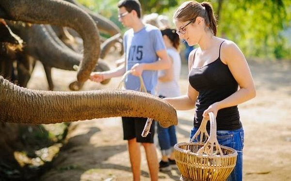 Thailand: The Baby Elephant Experience – Volunteer Vacations | Discover ...
