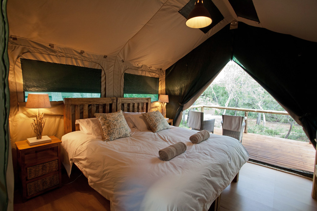 South Africa: Wildlife Conservation Experience – Volunteer Vacations ...