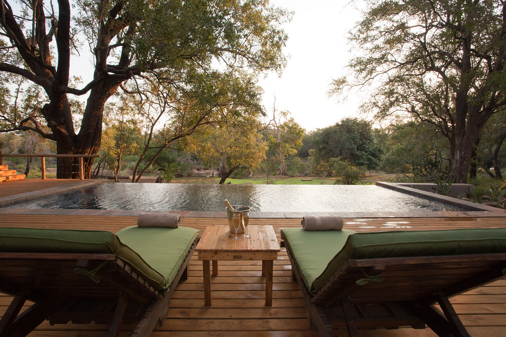 South Africa: Wildlife Conservation Experience – Volunteer Vacations ...