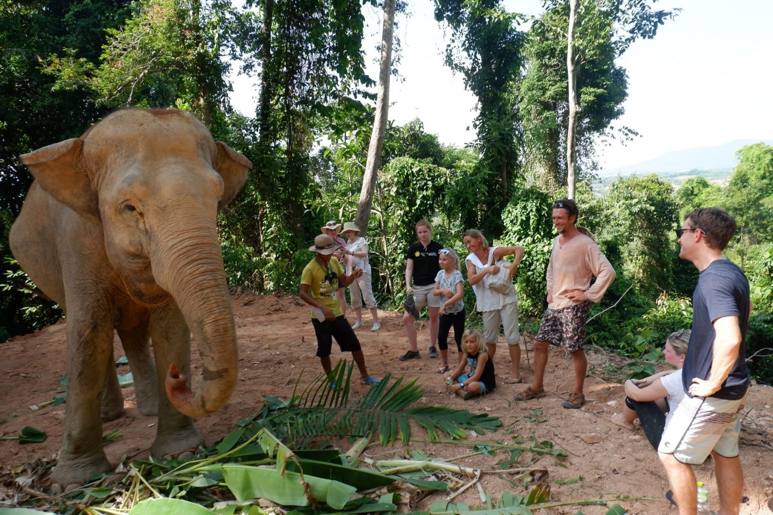 Thailand: Elephants & Islands Expedition – Volunteer Vacations ...