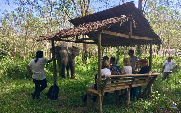 Thailand: Elephants & Islands Expedition – Volunteer Vacations ...