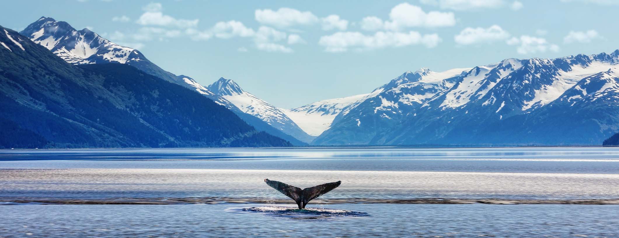 Alaska: The Great Exploration | Discover Corps